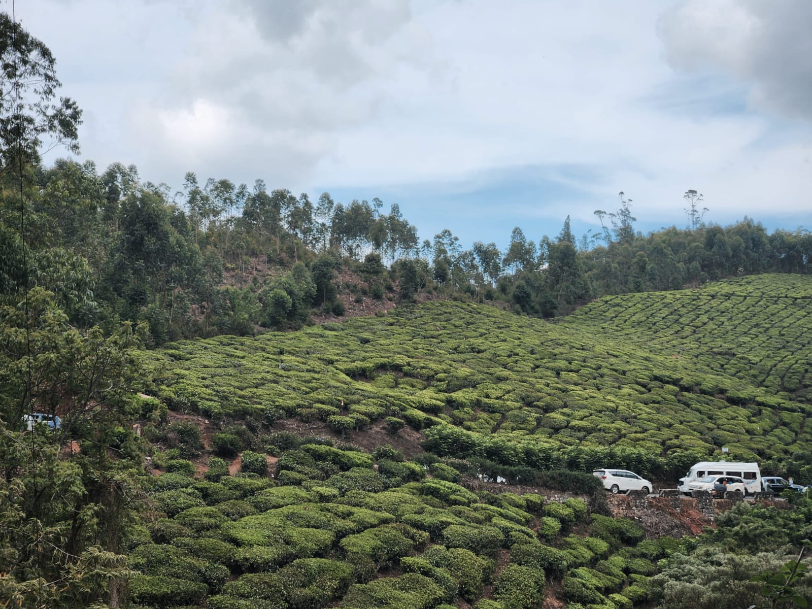 Welcome to Travora | Smart & Budget Travel Planning in India